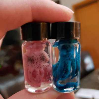 Singing Mouse, Taxidermy Mice, Taxidermy Band, Ethically Sourced ...