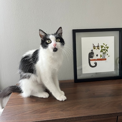 Purple Lavender Cat Art Print Illustration Cat Lover Gift - Etsy