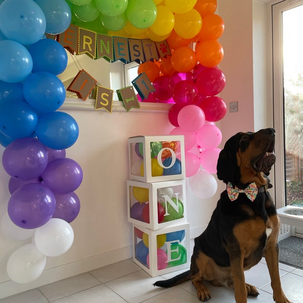 One Box 1st Birthday Decoration White Clear One Balloon Boxes First ...