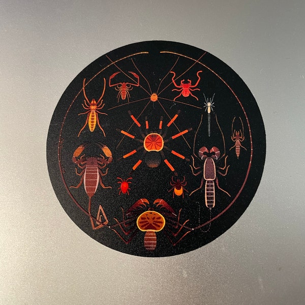 Katydid Circle Emboss Waterproof Sticker 3x3" - Etsy