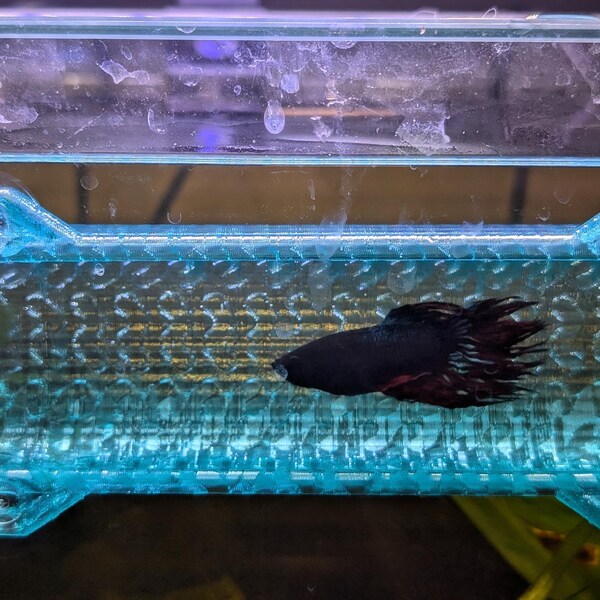 Seeshelter® Brand Betta Tunnel "gemstone Collection" - 11 Colors ...