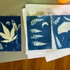 DIY Solar Printing Kit , Craft Kit , Cyanotype , Kit , Solar Printing ...