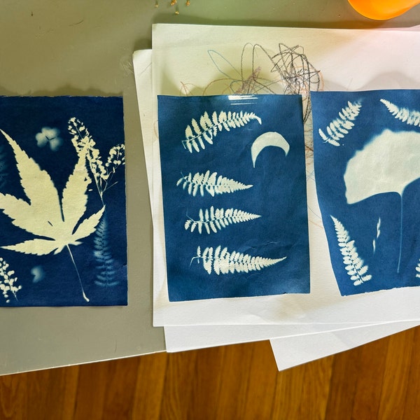 DIY Solar Printing Kit , Craft Kit , Cyanotype , Kit , Solar Printing ...