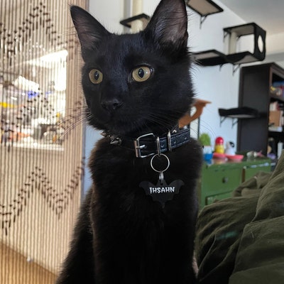 Personalized Simba Pet Tag Simba Dog Tag Simba Cat Tag - Etsy