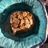 Handmade Extra Large Natural Stone Tank Cave - Aquascaping Frogs ...