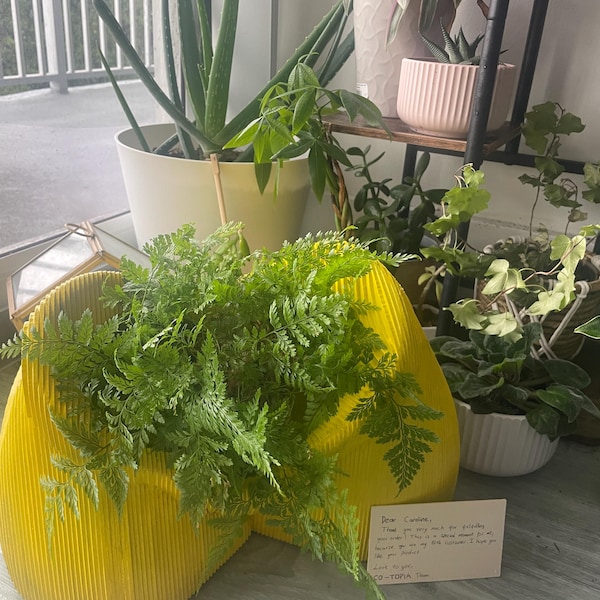 Gaia: Parametric Wooden Woman's Face Wall Decor, Parametric Minimalist ...