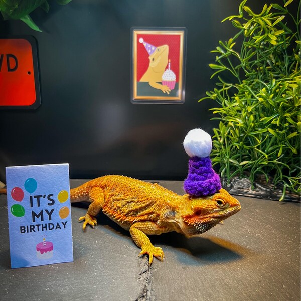 Rat Sweater for Rat Crochet Sweater for Small Pet Sweater for Fancy Rat ...