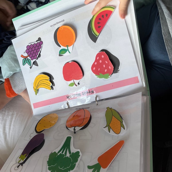 Toddler Busy Book | Learning Binder | Preschool Busy Book | Toddler ...