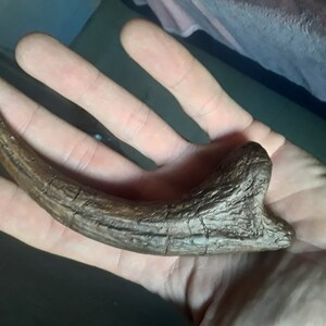 Yoda's Cane Gimer Stick - Etsy