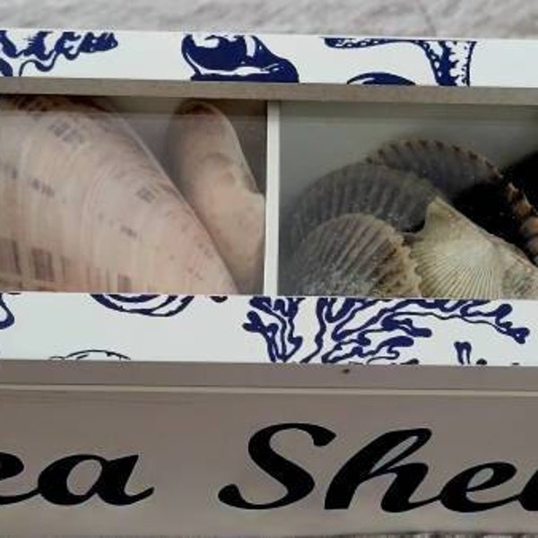 Miniature Blacktip Shark Figurine on White Coral With Seashells Stand ...