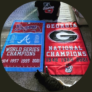 Miami Heat NBA Championship Banner Flag | Etsy