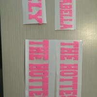 VS Pink Vertical Centered Vinyl Adhesive Decal Car Decal Window Decal ...