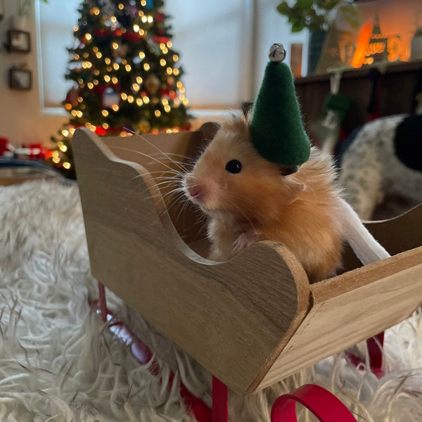 Elf Costume, Pet Costume for Rats, Santa Helper Rat - Available in Red ...