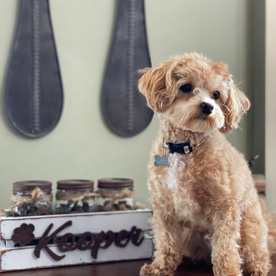 Personalized Dog Paw Print Slate Coasters Set of 4, Custom Coaster ...