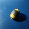 Rare Large Old Chevron Bead, 7-layer Chevron Bead, Rare Venetian ...