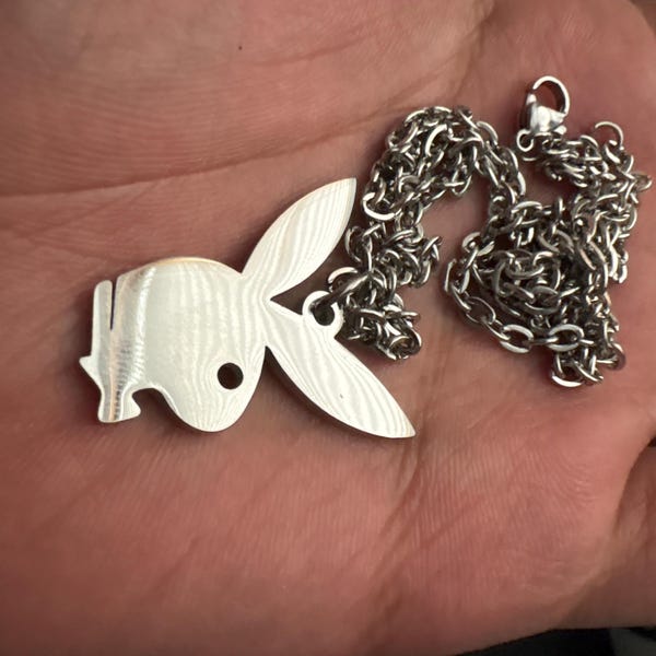 Silver Detroit D Necklace, Detroit D, D Necklace, Detroit Tigers Chain ...