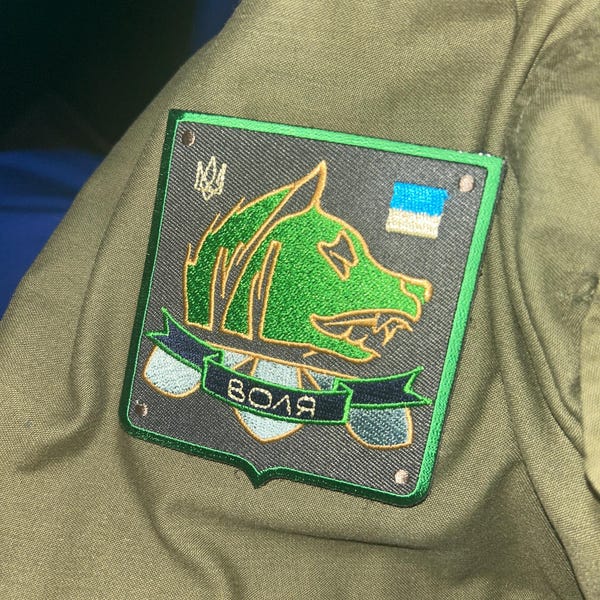 Biohazard Inspired, Hound Wolf Squad, Evil Resident, Morale Patch - Etsy