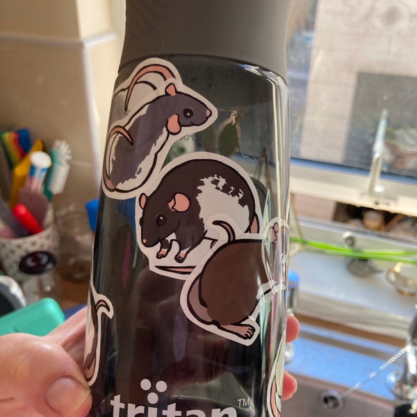 Cute Fancy Rat Stickers Pack of 8 to 10 Made to Order - Etsy