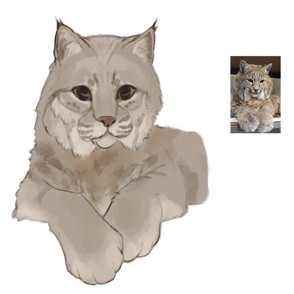 Sazor Braid Brushes Procreate Mini Pack for iPad and Iphone, 10 Brushes ...