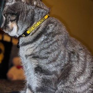 Crime Scene Halloween Breakaway Cat Collar - Etsy
