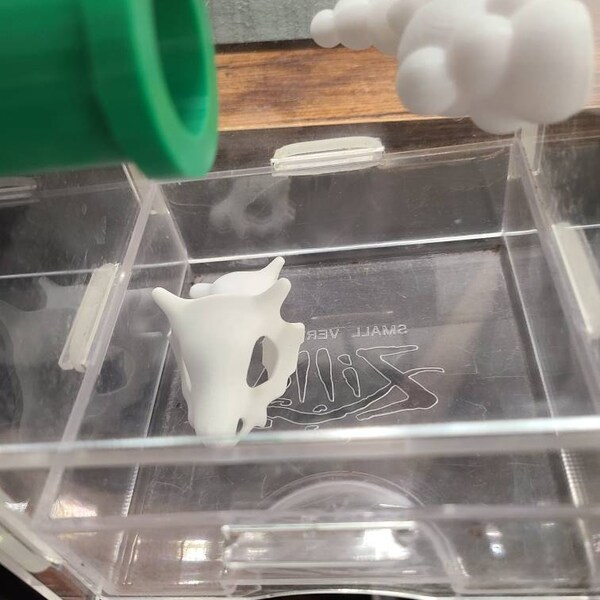 Jumping Spider or Tarantula Cubone Skull Decoration - Etsy