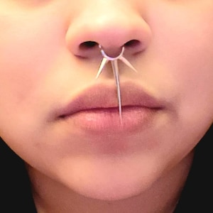 Long Spike Septum Piercing, Punk Spikes Nose Ring, Body Jewelry, 16G ...