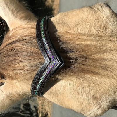 Snap Browband Diy Empty Channel Browband Make Your Own Browband Quick ...