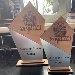 Engraved Trophy Award 200MM Tall With Logo & Wording for Schools ...