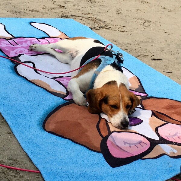 Corgi Decal Sugar Skull Corgi Decal Corgi Sticker Corgi Bumper Sticker ...