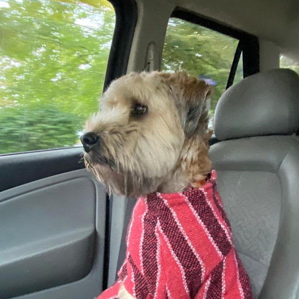 Baja Dog Poncho / Baja Boho Dog Poncho Hoodie Sweatshirt / Mexican ...