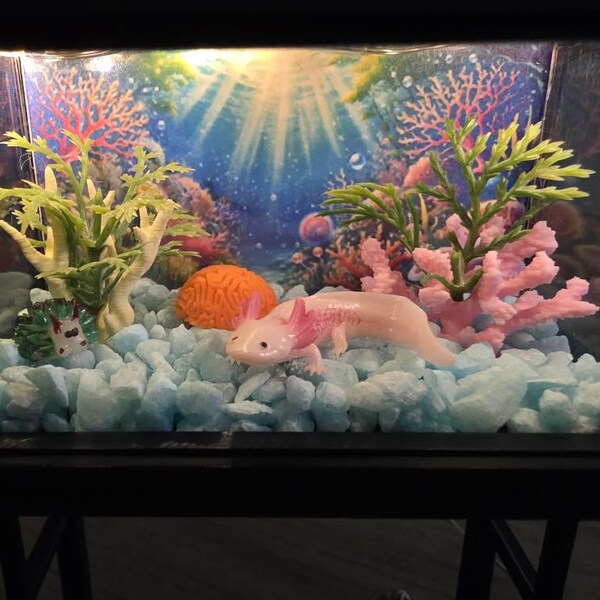 1:6 Scale Miniature Axolotls Dollhouse Amphibians-fashion Doll or Elf ...