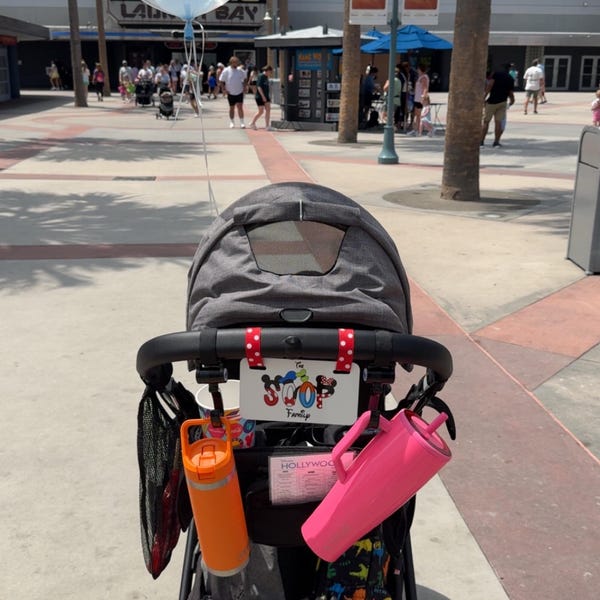 Personalized Family Name Stroller Tag, Amusement Theme Park Sign for ...