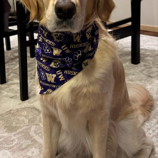 Green Bay Packers Over Collar Dog Bandana, NFL, Pet Scarf, Reversible ...