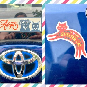 Polar Bear on Melting Iceberg Bumper Sticker. Global Warming - Etsy