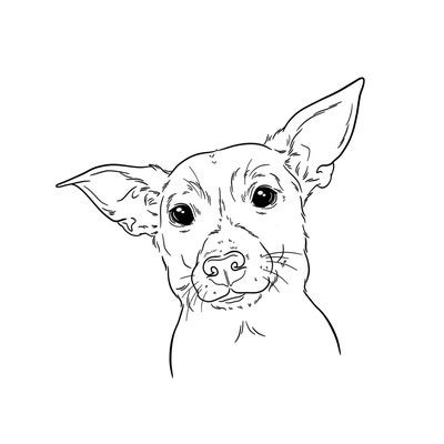 Dog Outline, Custom Line Drawing, Pet Portrait Full Body, Inked Line ...