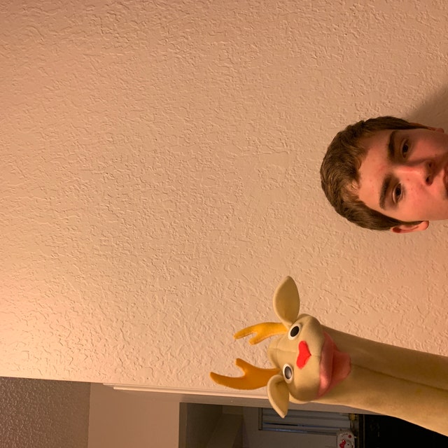 Reviews - DMPCreative - Page 4 - Etsy