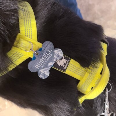 Mountains Dog Tag for Dogs, Rustic Dog Tag, Outdoors Personalized Pet ...