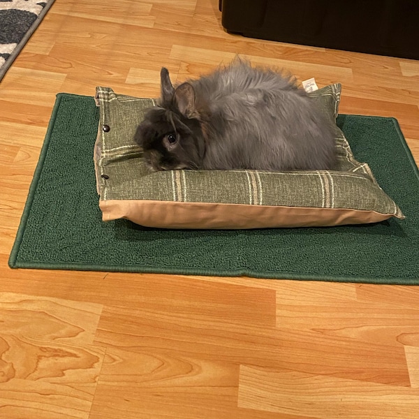 Seagrass Mat Replacements for Enrichmat™ Snuffle Mat Foraging ...