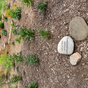 Hope Inspirational Stones Garden Rocks Kids Custom to Order - Etsy