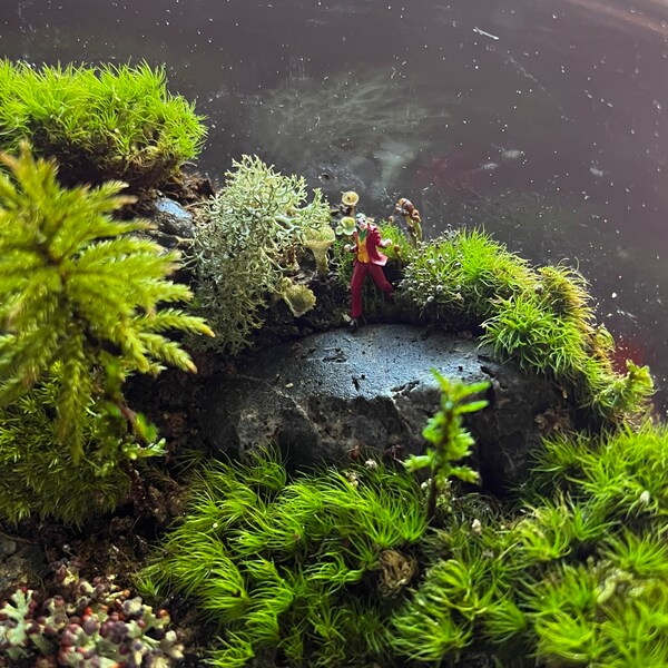 Miniature Creature From the Black Lagoon HO Scale Mini Monster - Etsy