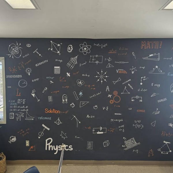 Graffiti Doodle Physics Wall Decal: Classroom Wall Art - Etsy