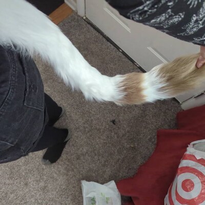 Custom Fursuit Arm Sleeves - Etsy