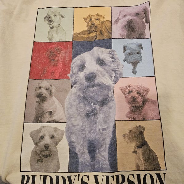 Customizable Eras Comfort Colors Tee, Eras Tour Gift for Dog Mom, Swift ...