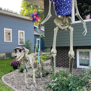 12 Ft Skeleton SWIM WEAR skeleton & Hats Not Included - Etsy