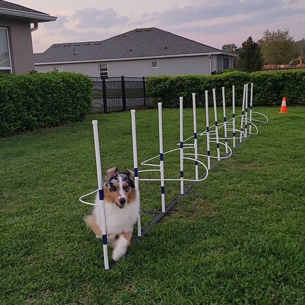 Dog Agility Equipment - Weave Pole Guide Wires for 6 Weave Poles - 4 ...