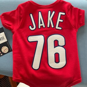 St. Louis Cardinals Lettering Kit for an Authentic Replica or - Etsy