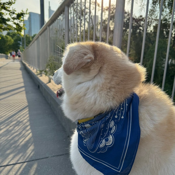 Snow Leopard Keychain | Snow Leopard Enamel Keychain| Leopard Charm ...