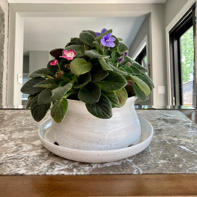 SMALL African Violet Pot, Made to Order Small/starter Self Watering ...