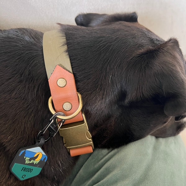 Biothane Leash With Traffic Handle Dual Tone - Etsy