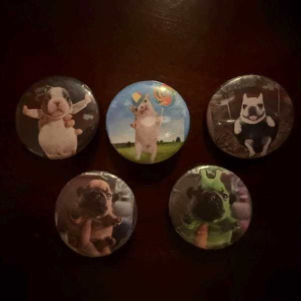 Pibble Dog Pinback Buttons - Puppy Meme Pins, Set of 5 - Etsy